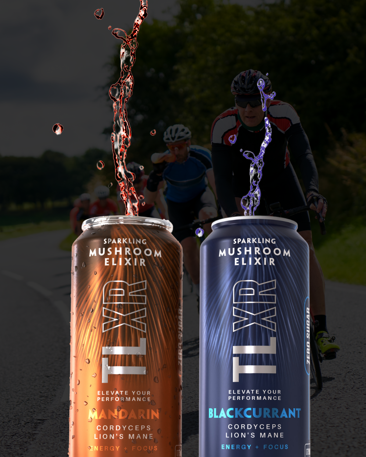 Teelixir | Superfood Mushrooms & Tonic Herbs in Australia